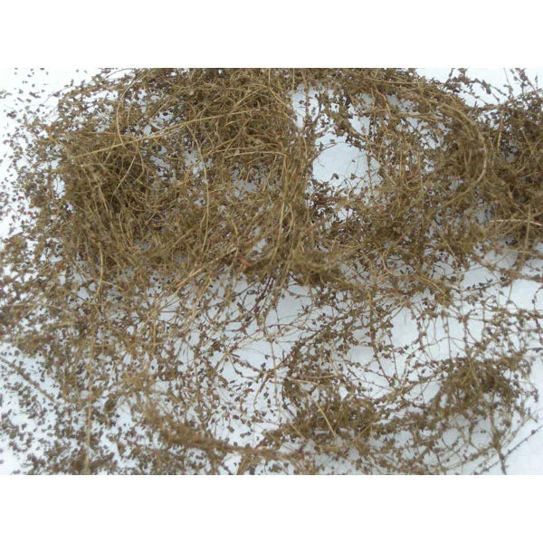 JTT - Dry Vines: Dead Foliage - 95063| MPM Hobbies